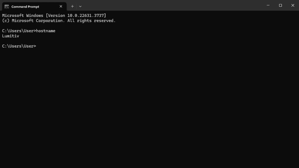 Understanding Hostnames: What They Are and Why They Matter | Lumitiv